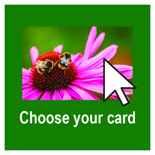 E-cards an eco-friendly way to brighten someone’s day