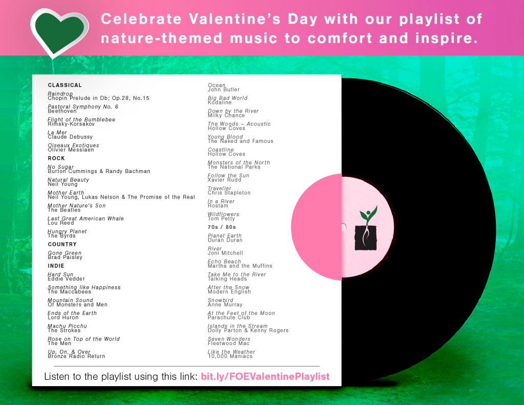 Valentine S Nature Playlist