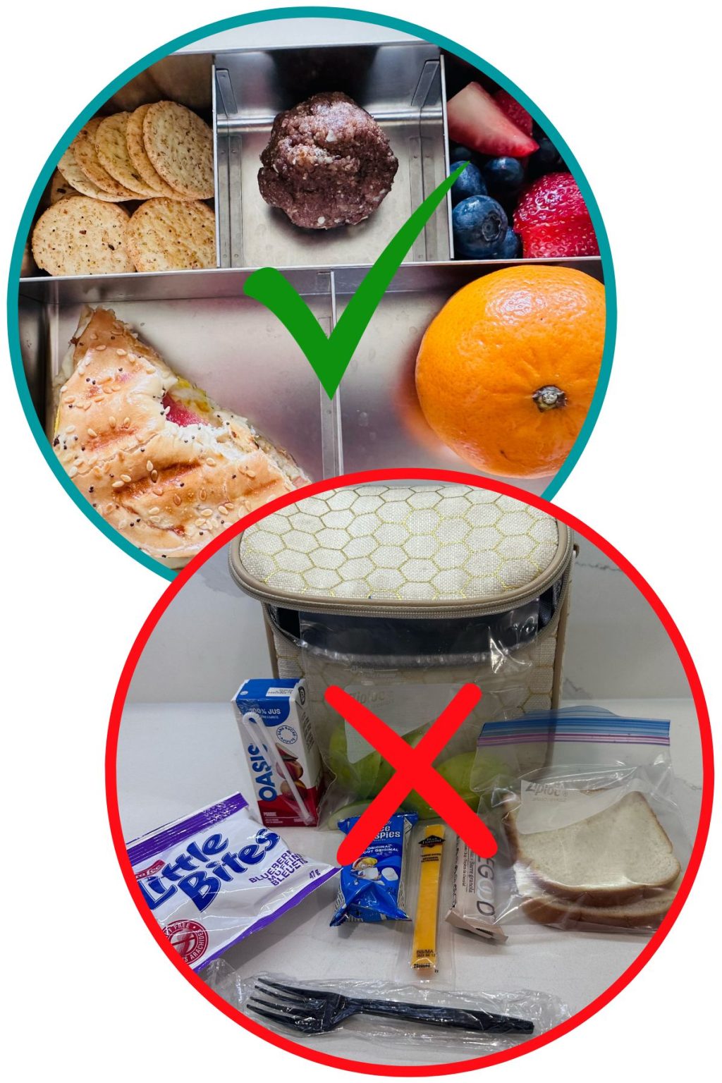 Plastic-Free Lunch Campaign: Save Cash & Reduce Plastic Waste